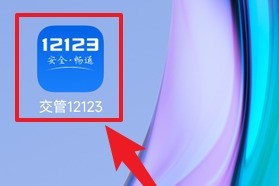 交管12123中怎样换驾驶证？交管12123中换驾驶证的操作方法-软件技巧-ZOL软件下载