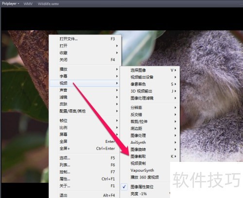 potplayer截图方法-软件技巧-ZOL软件下载