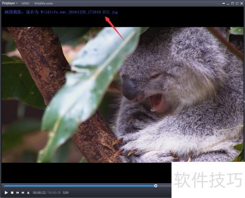 potplayer截图方法-软件技巧-ZOL软件下载