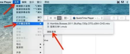 quicktime怎么删除播放记录 quicktime删除播放记录方法-软件技巧-ZOL软件下载