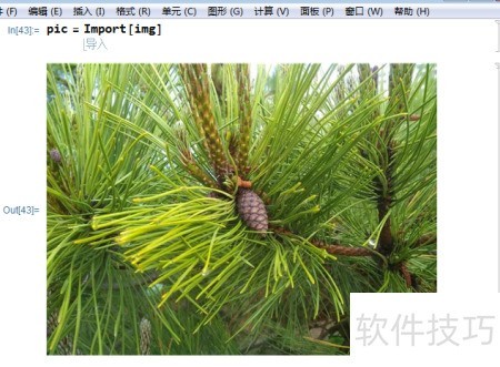 Mathematica如何转JPEG为PDF_软件资讯技巧应用-中关村在线