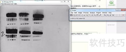 ImageJ分析WB结果指南_软件资讯技巧应用-中关村在线